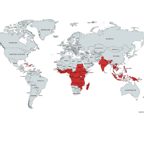 Africa / Caribbean and Asia │ Health Food Store la Brûlerie